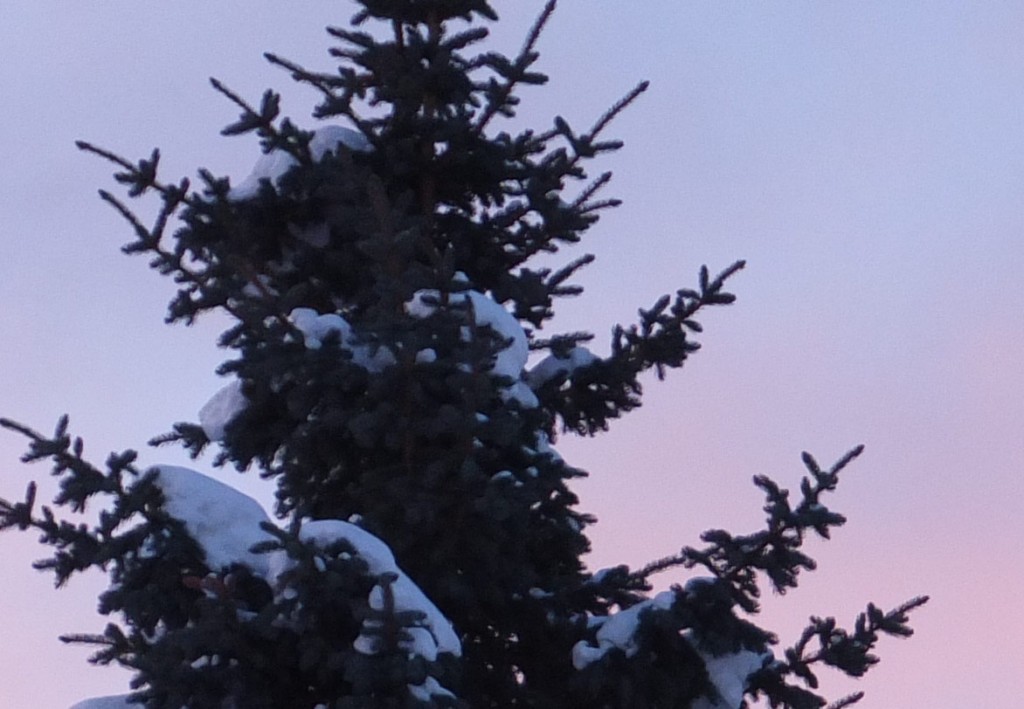 Fujifilm X10 - Full Review | Dan Bailey's Adventure Photography Blog