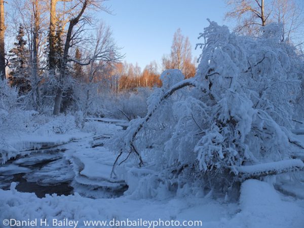 Cold Weather Photography Tips - Today on MasteringPhoto Blog | Dan ...