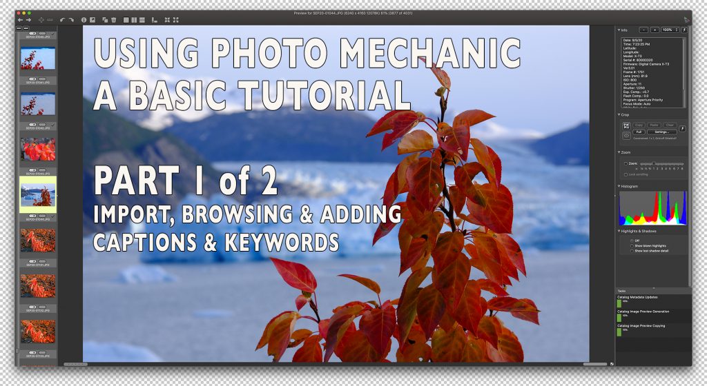 Watch My 2-Part Basic Photo Mechanic Tutorial | Dan Bailey's Adventure ...